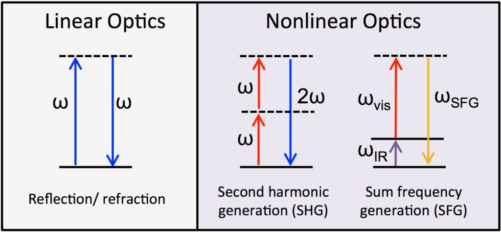 Non-Linear Optical Polymers Market: Empowering Cutting-Edge ...