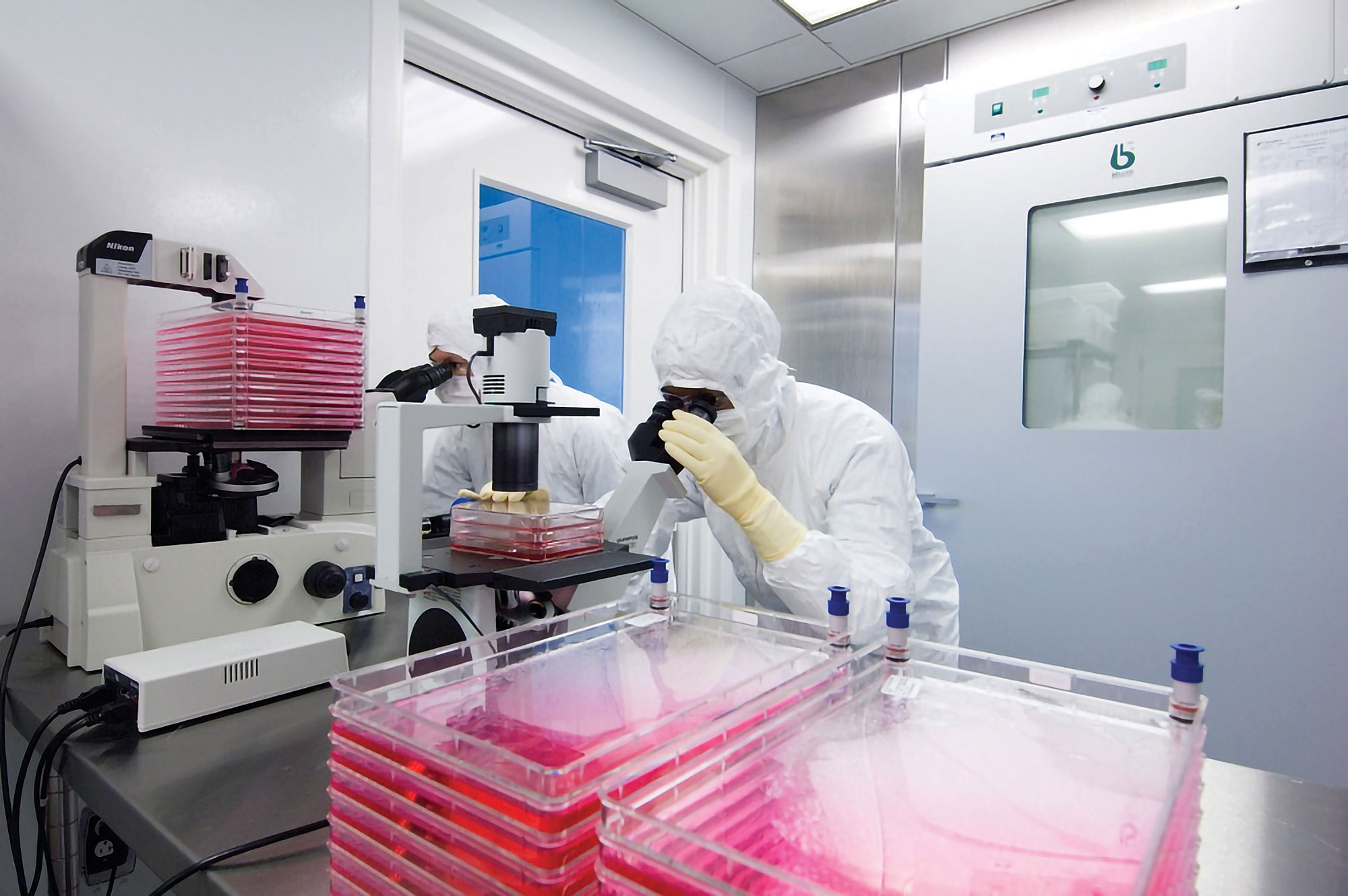 Global Cell Therapy Manufacturing Industry is growing at a 14.2% CAGR ...