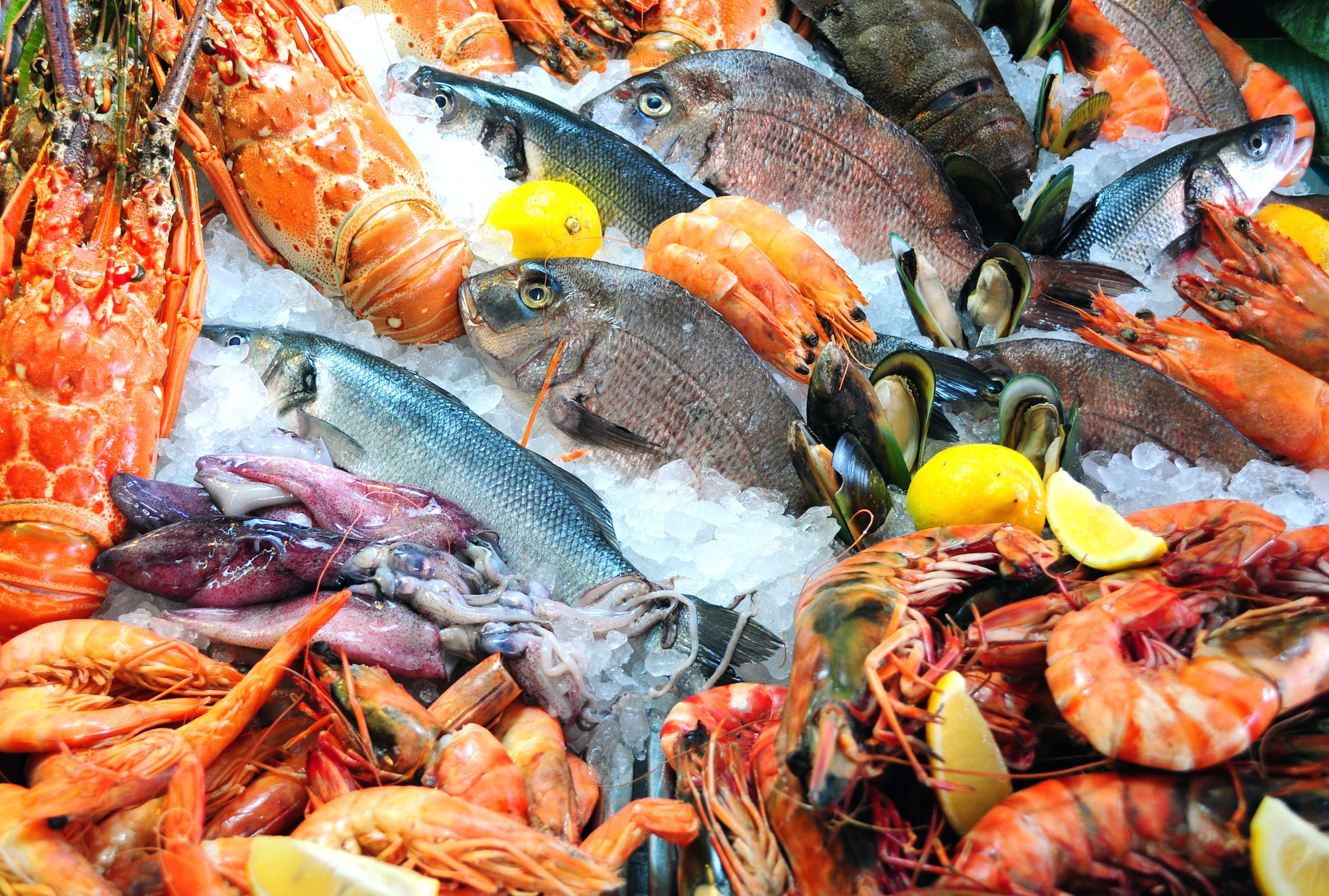 Frozen Seafood Market Projected to Surge to US$ 42.66 Billion by 2034 ...