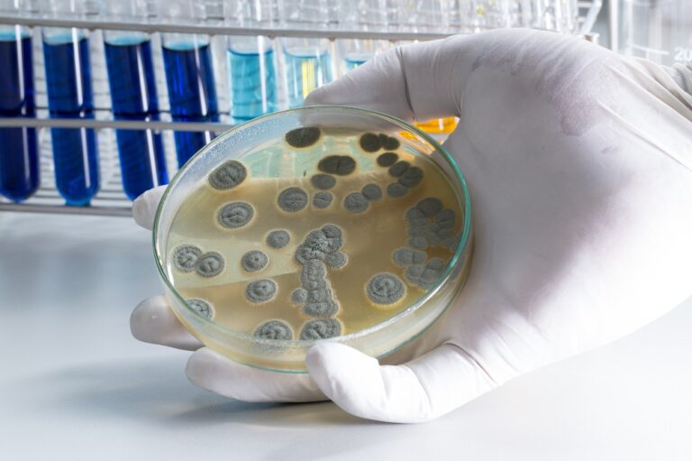 Global Microbial Therapeutic Products Industry is predicted to grow at ...