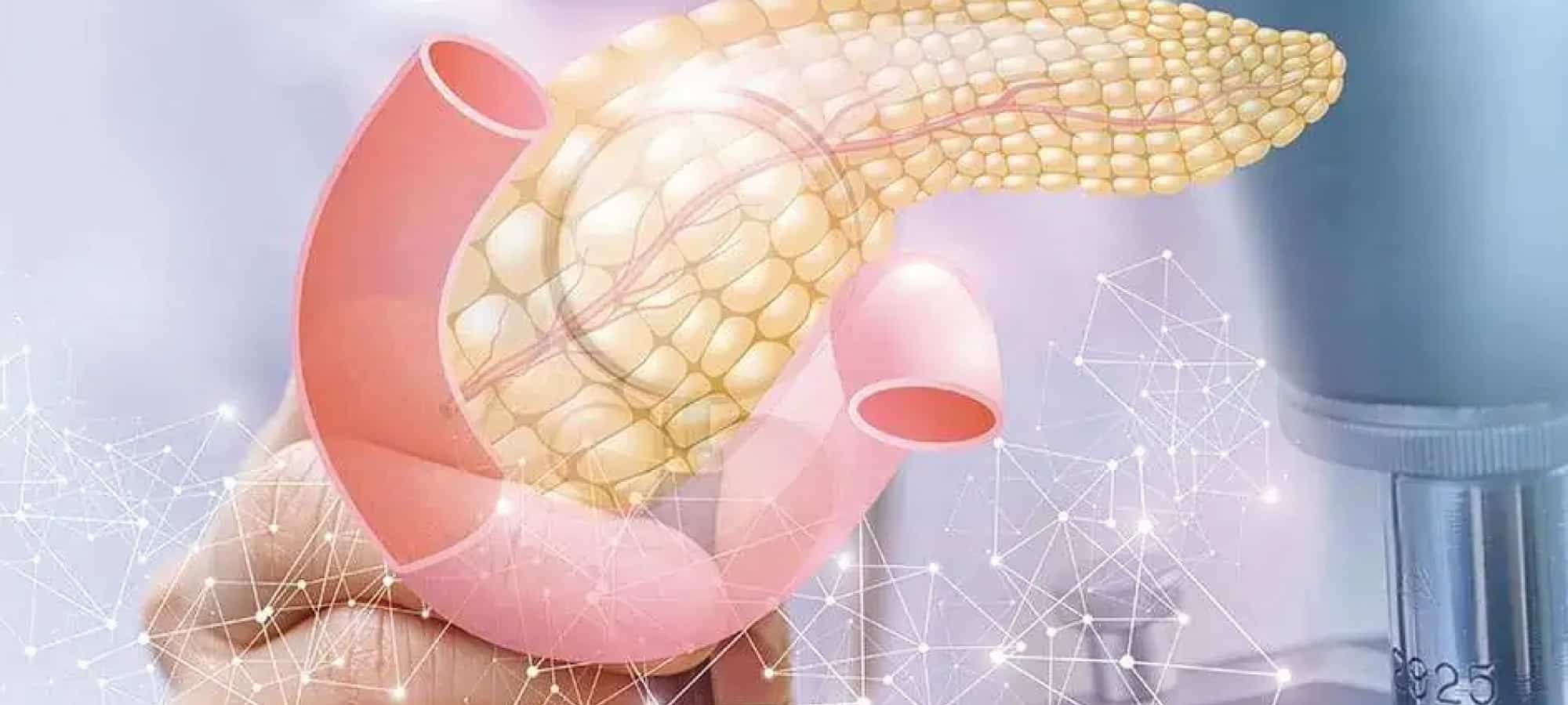 Fecal Pancreatic Elastase Testing Market Set to Experience Rapid Growth ...