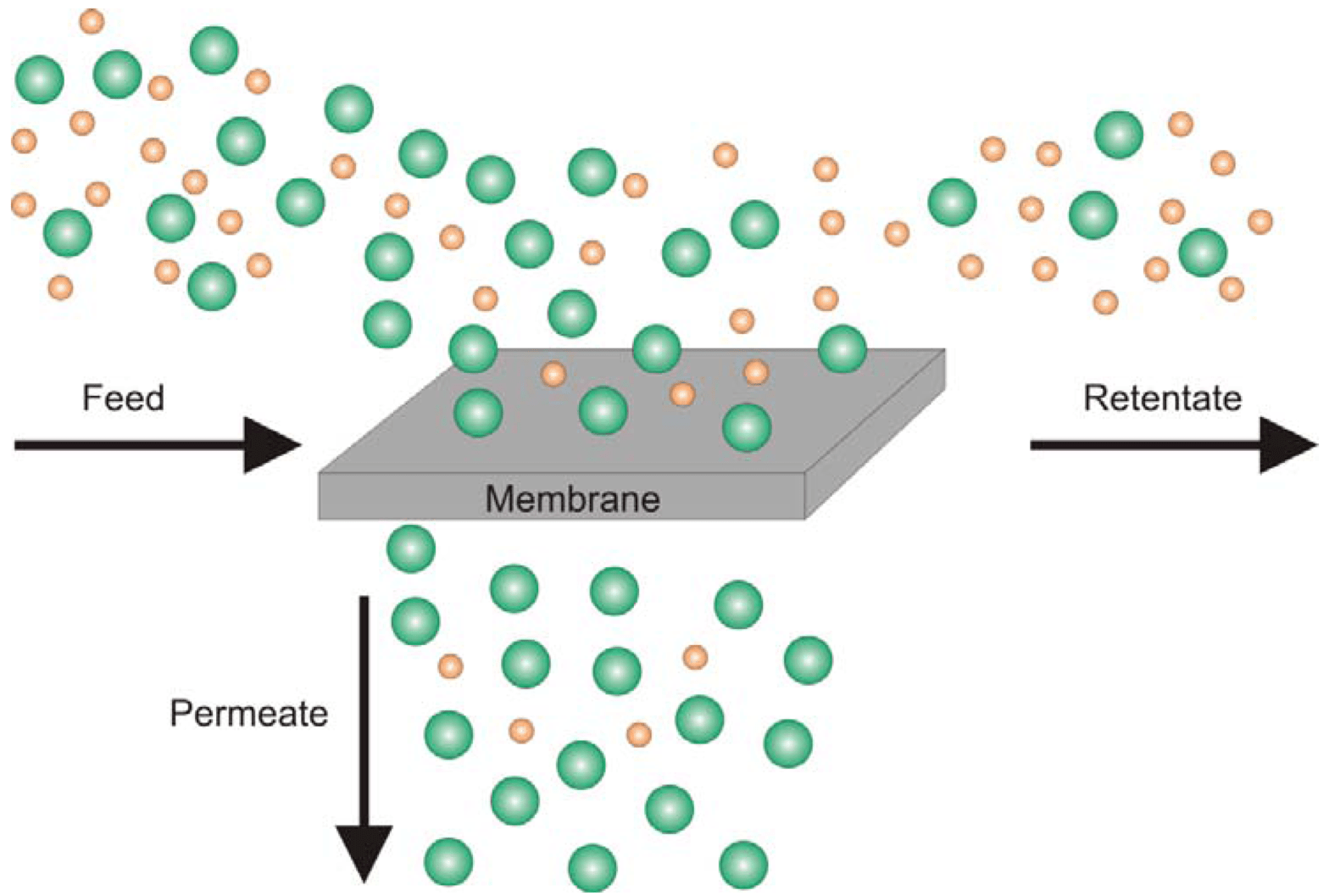 Beyond Filtration: How Polymeric Membranes are Revolutionizing ...