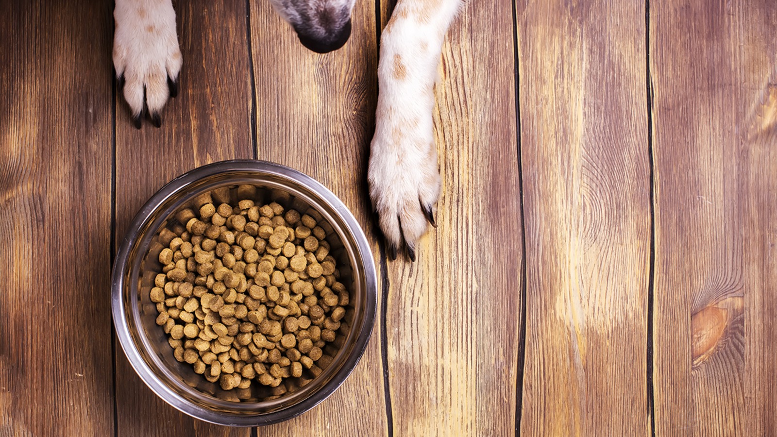 Postbiotic Pet Food Market Expected to Surge to USD 1,231.58 Million by ...